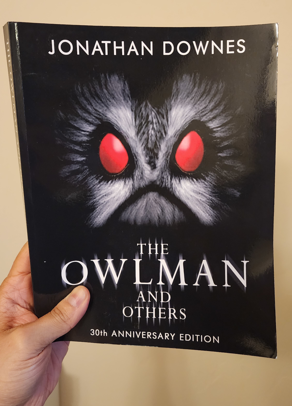 Owlman of Mawnan, Cornwall | Into Horror History | J.A. Hernandez